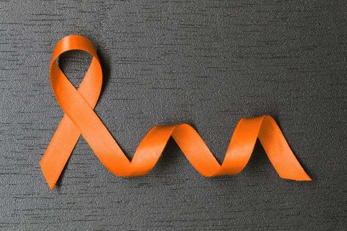 El 25 comienzan los 16 días de activismo contra la violencia de género ...