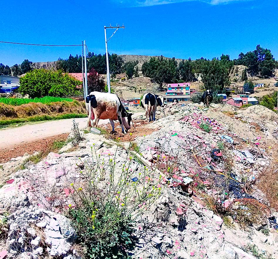 Achocalla está cercada por restos de las construcciones - Fundación ...